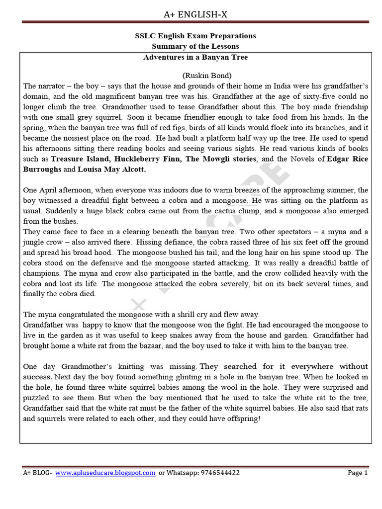 Sslc-English-Summary of All Chapter | PDF