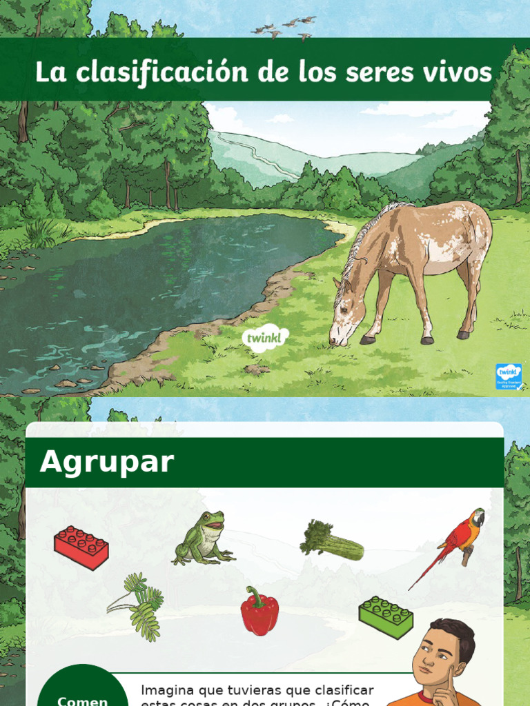 es-sc-1712231411-presentacion-clasificacion-de-los-seres-vivos_ver_2 ...