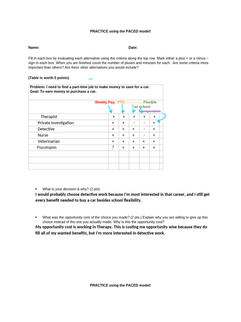 PACED Model Job Decision-Making Guide | PDF | Mentorship
