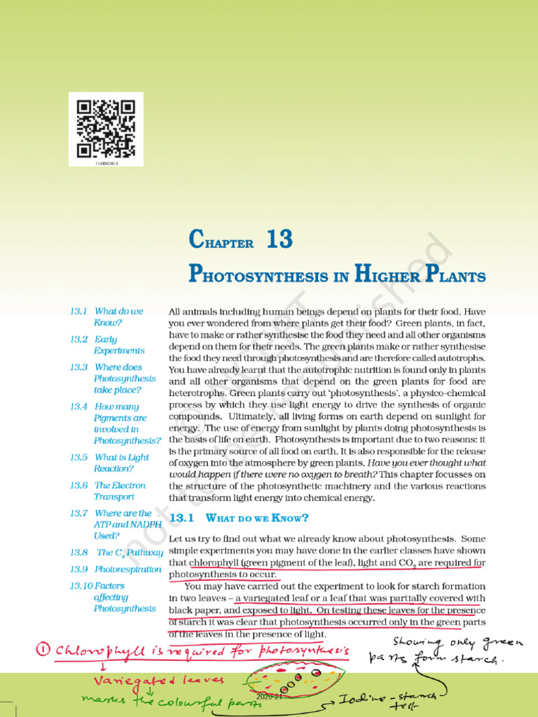 Photosynthesis (1) | PDF