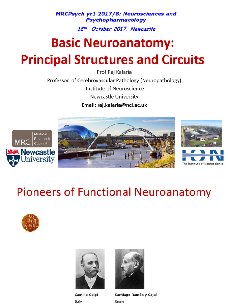 Brain Structure and Clinial Neuroanatomy - MRCPsych - Oct 2017 | PDF ...