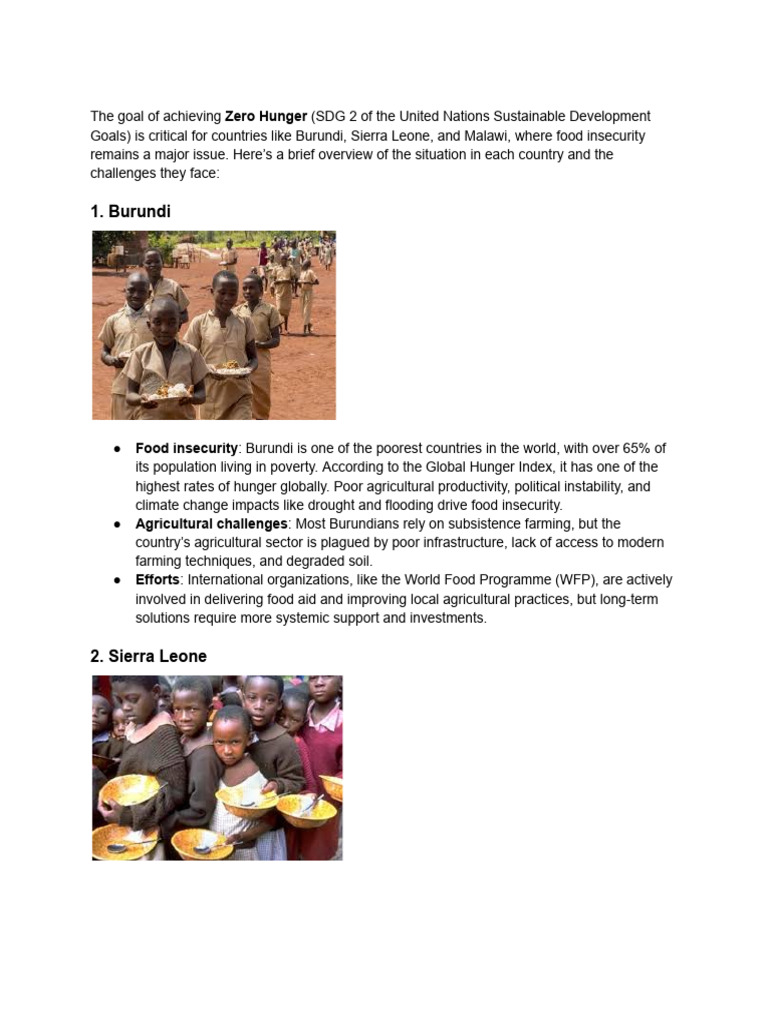 Zero Hunger | PDF | Food Security | Hunger
