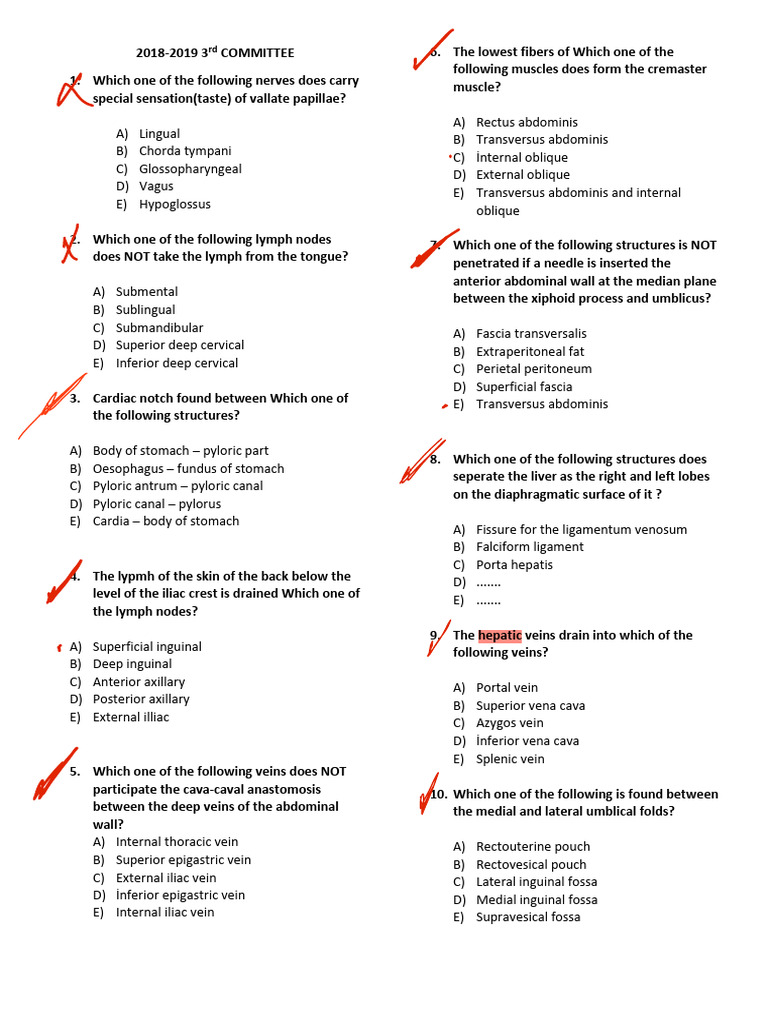 2018-2019_C3 اناتومي بس | PDF | Pancreas | Vein
