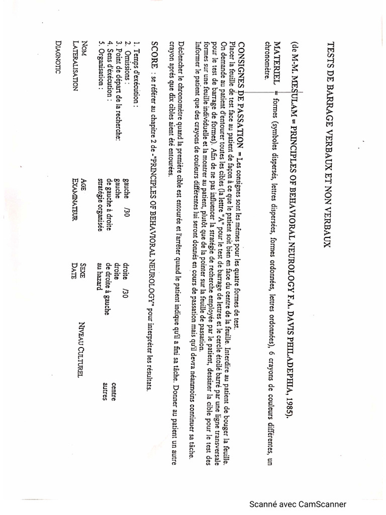 Test de Mesulam | PDF