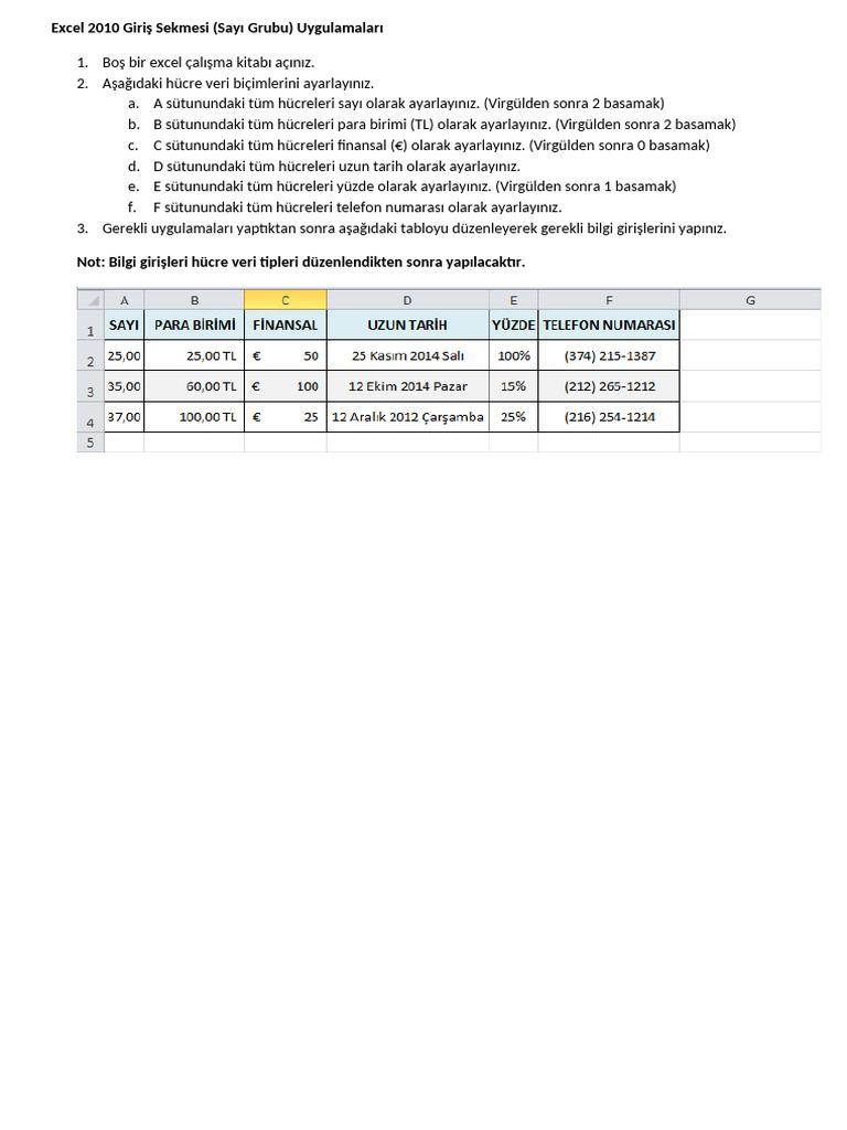 8 - Excel 2010 Giriş Sekmesi (Sayı Grubu) Uygulamaları | PDF