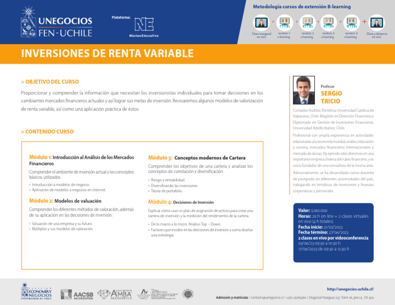 Inversiones Renta Variable | PDF | Portafolio (Finanzas) | Inversiones