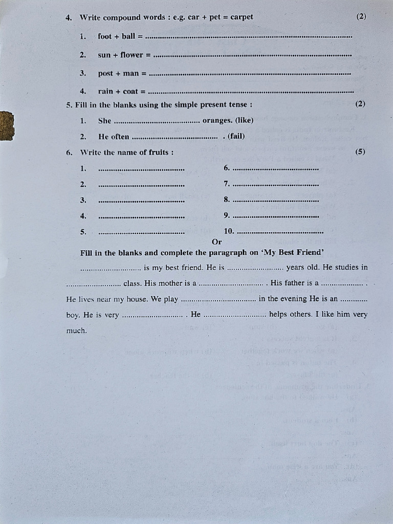 Exam Sample | PDF