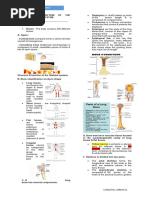 Willits Accellerated Achilles Rehab | PDF | Physical Therapy ...
