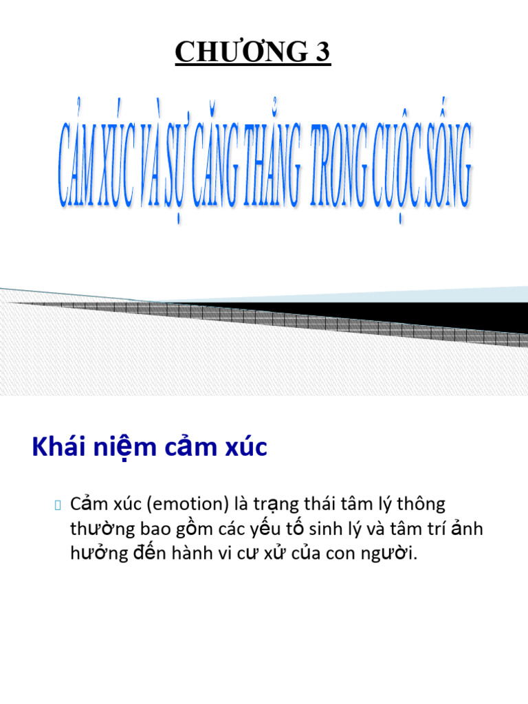 TLH DC. Chuong 3.2020.cam Xuc | PDF