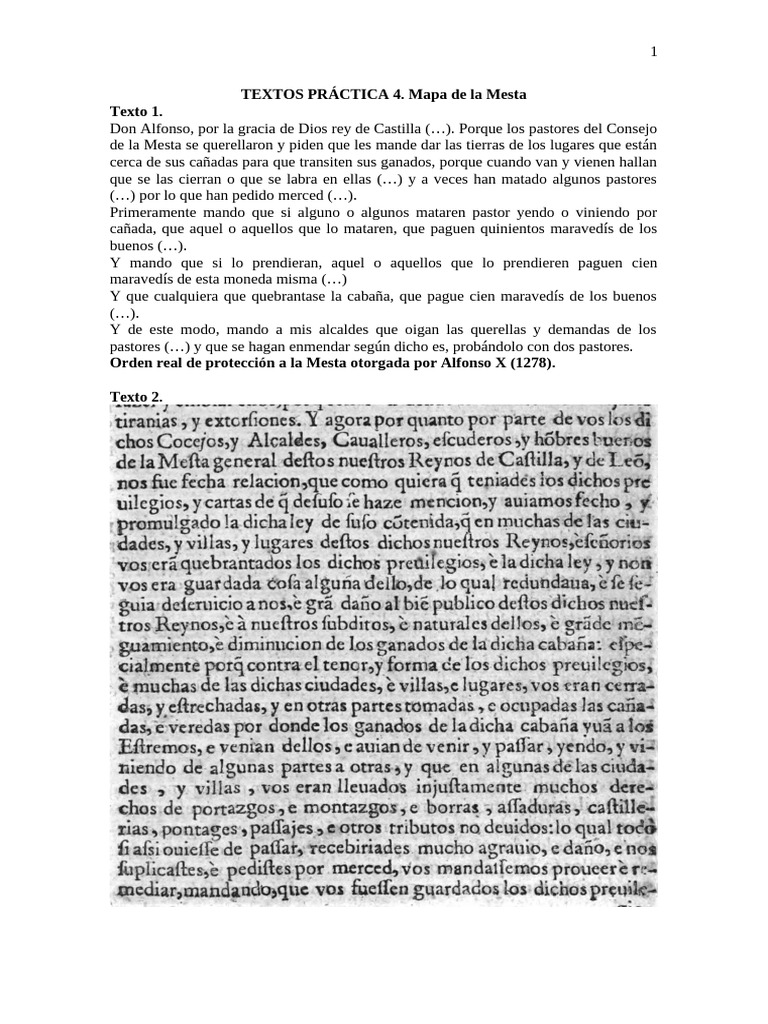 Protección Real a la Mesta | PDF