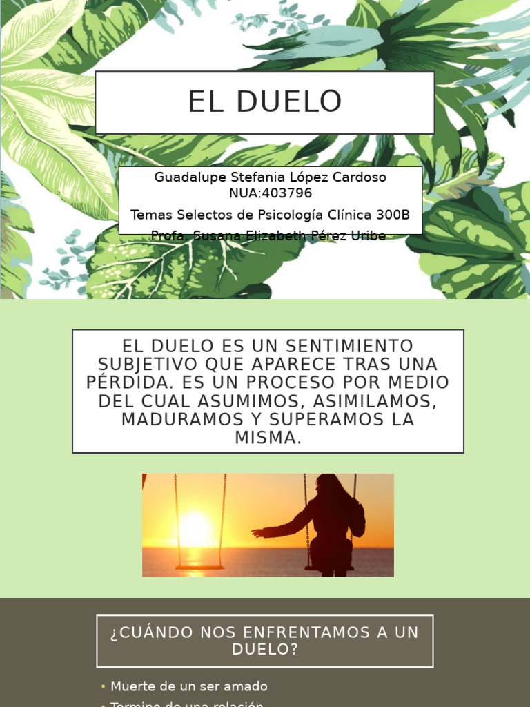 El Duelo | PDF | Dolor | Las emociones