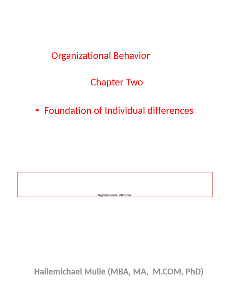 OB Chapter 2 Foundations of Individual Behaviour | PDF | Attitude (Psychology) | Perception