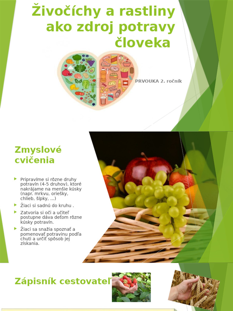 PVO 2A Zivocichy A Rastliny Ako Zdroj Potravy Cloveka | PDF