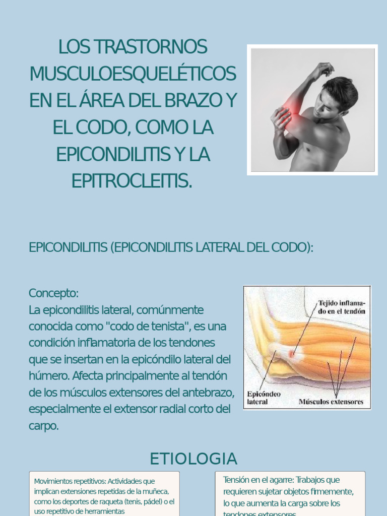 Los Trastornos Musculoesqueléticos en El Área Del Brazo y El Codo, Como ...