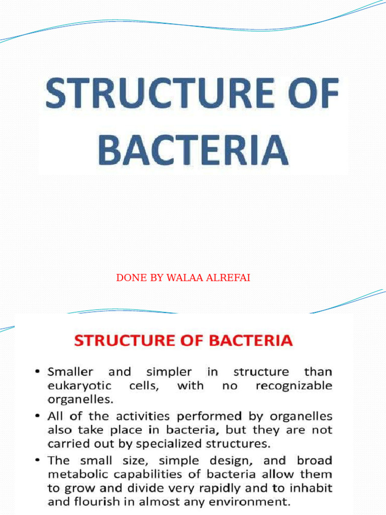 Cell Structure 2 (2) WALAA | PDF