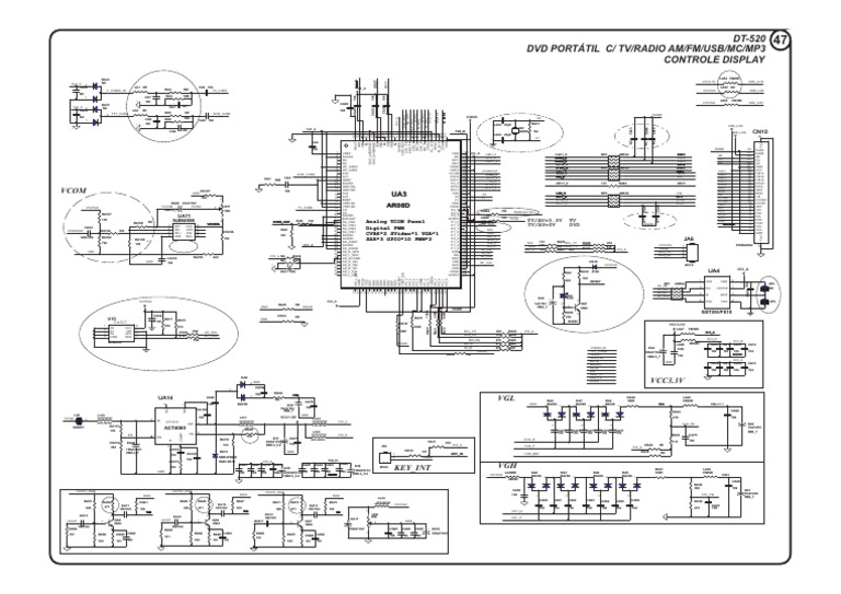 Dt-520 Pci Display | PDF | Brain | Temporal Lobe
