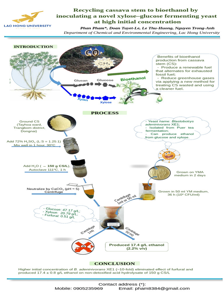 Poster mẫu - KhoaHH - MT-Poster-PhanThiPham ...