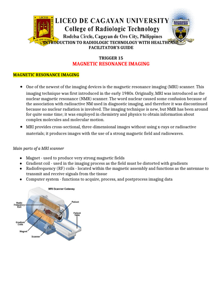 Trigger 15 - Faci Guide - Intro | PDF