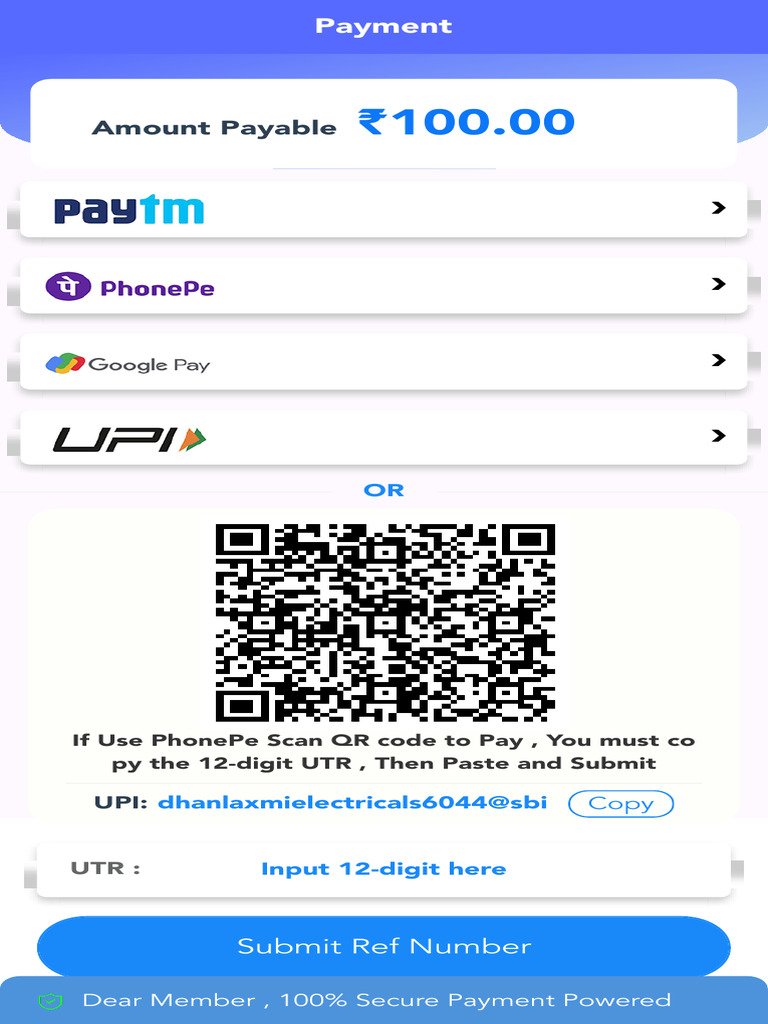 Secure Payment Instructions | PDF