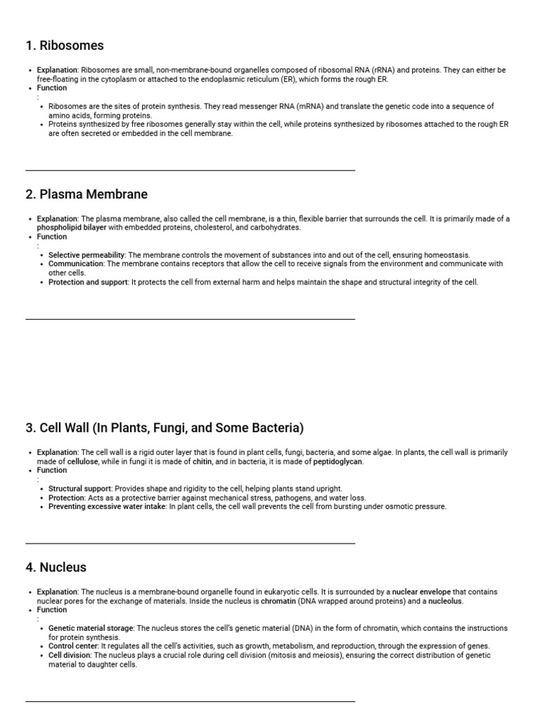 Cell Organelles and Division Processes | PDF | Meiosis | Mitosis