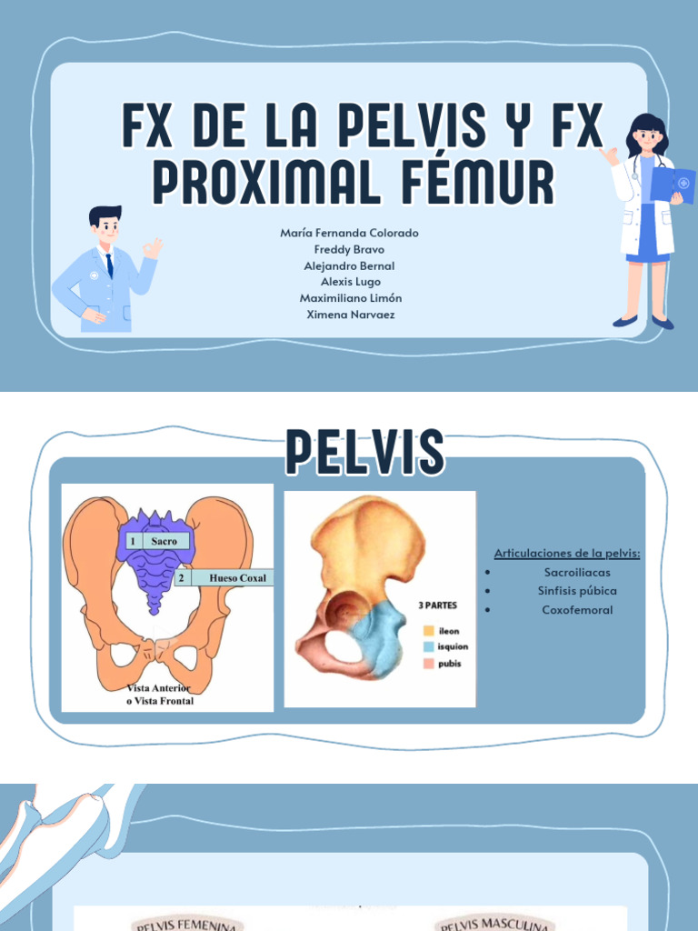 Pre Med | PDF | Pelvis | Osteoporosis