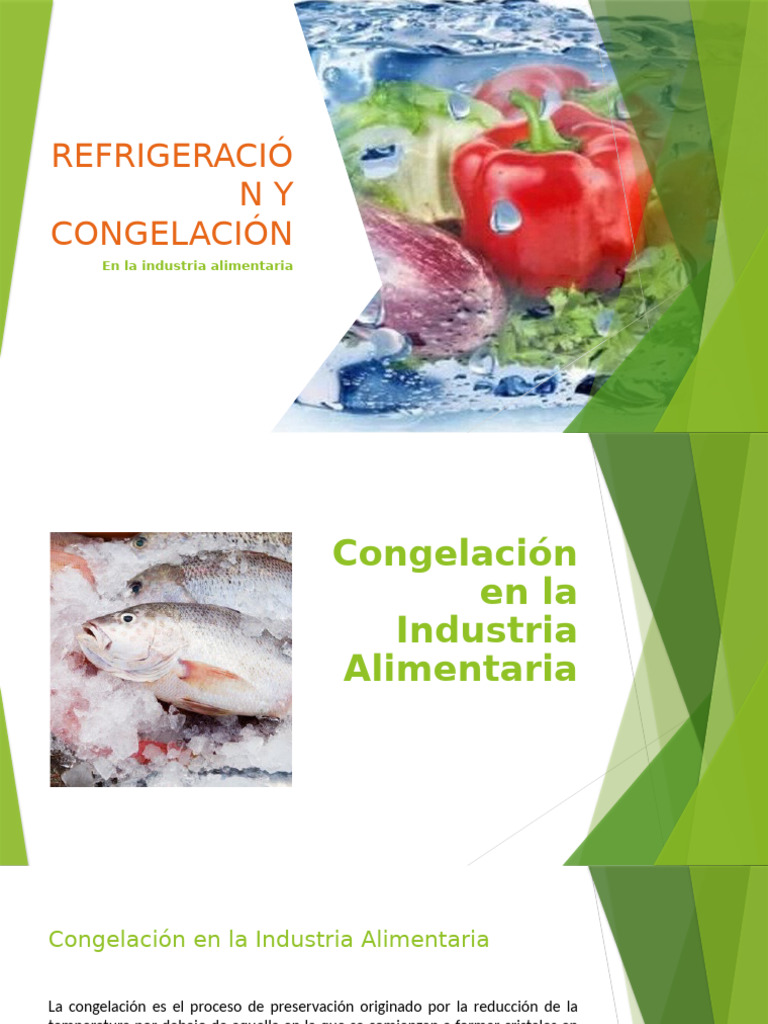 Congelación y Refrigeración Alimentaria | PDF | Cristalización | Agua