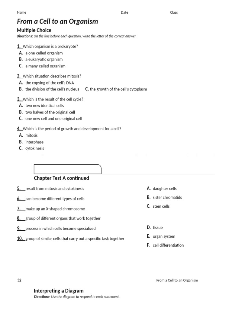 Cell Cycle and Organism Structure Quiz | PDF | Cell (Biology) | Mitosis