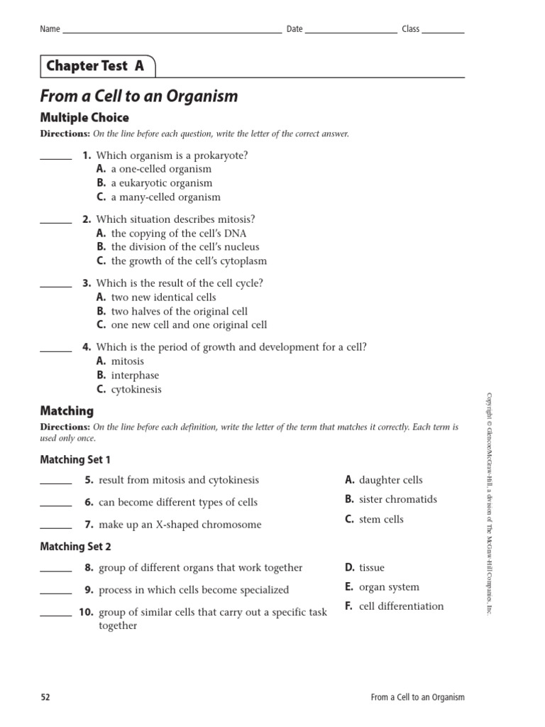 Chapter 3 Study Guide | PDF | Mitosis | Cell (Biology)