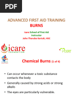 Rule of Nines Burn Chart for Adults | PDF