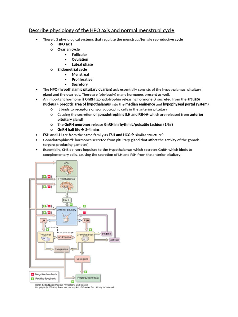 Describe Physiology of The HPO Axis and Normal Menstrual Cycle | PDF ...