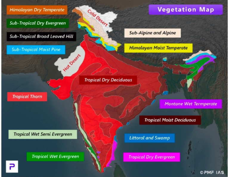 India S Vegetation Map | PDF