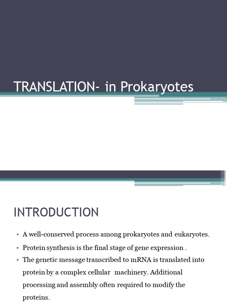Prokaryotic Translation Process Explained | PDF | Translation (Biology ...