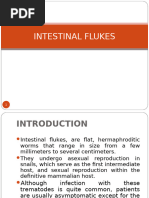 Trematode Flukes: Types and Characteristics | PDF | Zoology | Parasitology