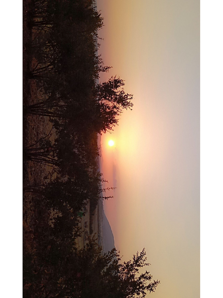 PDFReader 20241210 1607 | PDF