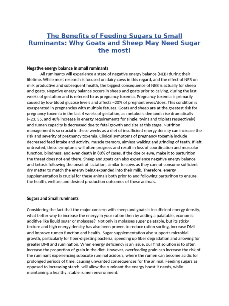 Benefits of Feeding Sugars To Small Ruminants | PDF | Ruminant | Sheep