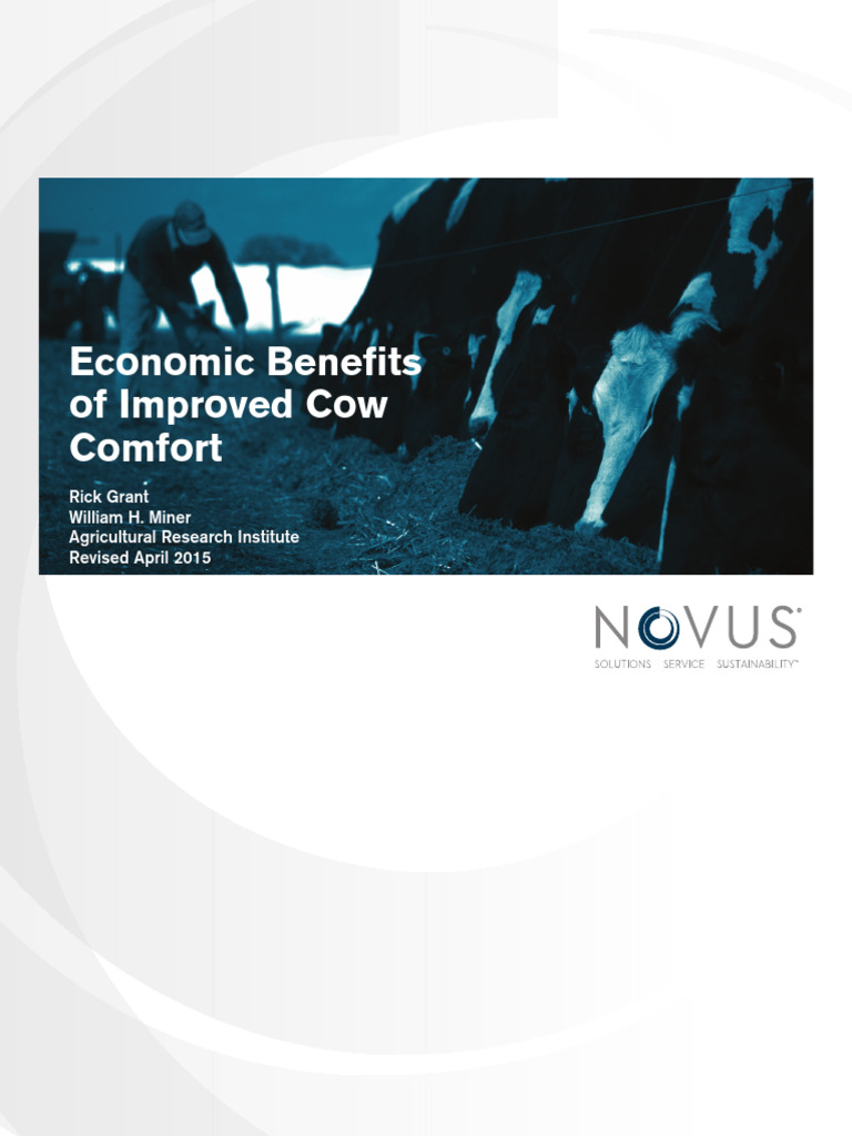 Novus Economic Benefits of Improved Cow Comfort | PDF | Dairy Cattle ...