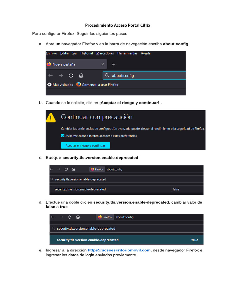 1.-Procedimiento Navegador Portal Citrix | PDF