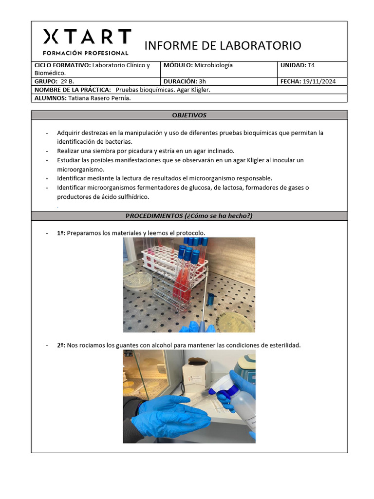 Informe Práctica 9. Micro | PDF | Laboratorios | Microbiología
