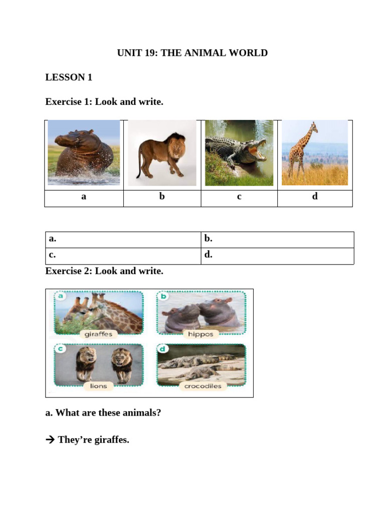 Unit 19 English 4 Pdf