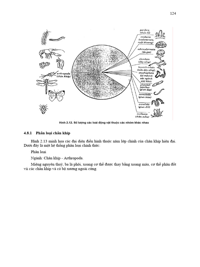Sinh-hoc-dai-cuong-HNoi p2 | PDF