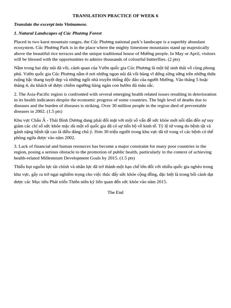 Translation Practice | PDF