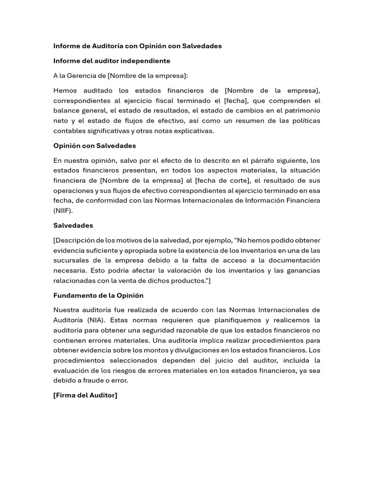 Informe de Auditoría Con Opinión Con Salvedades | PDF