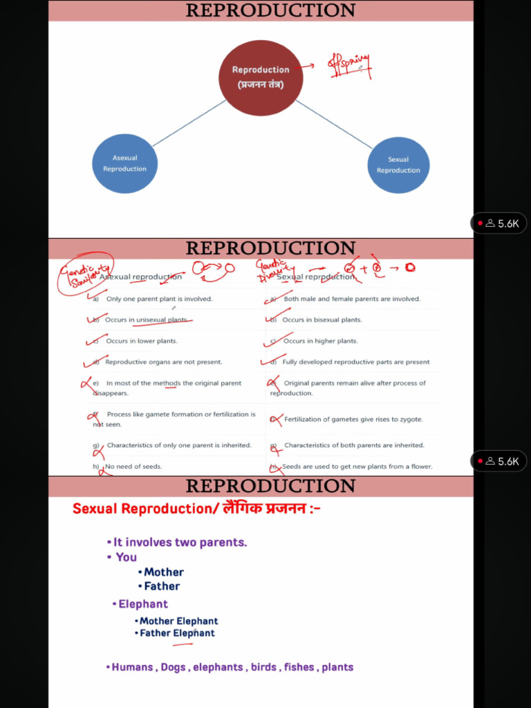 Biology Lecture 8 | PDF | Sexual Reproduction | Flowers