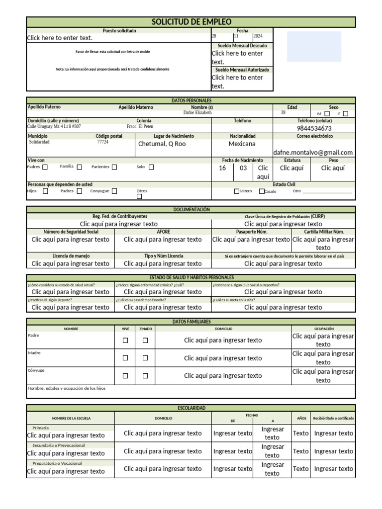 Formato Solicitud de Empleo | PDF