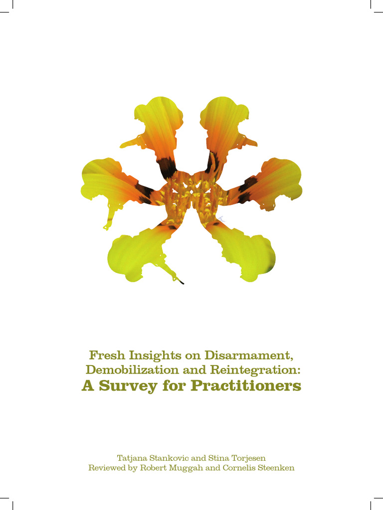 Lecture 11 DDR Ref 2 Upload | PDF | Peacebuilding