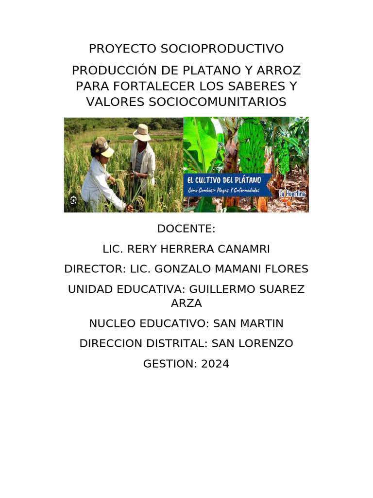 PSP Guillermo Suarez Arza 24 | PDF | Enseñando