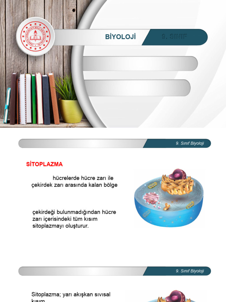 2 Tmji 4 I 5 WDB | PDF