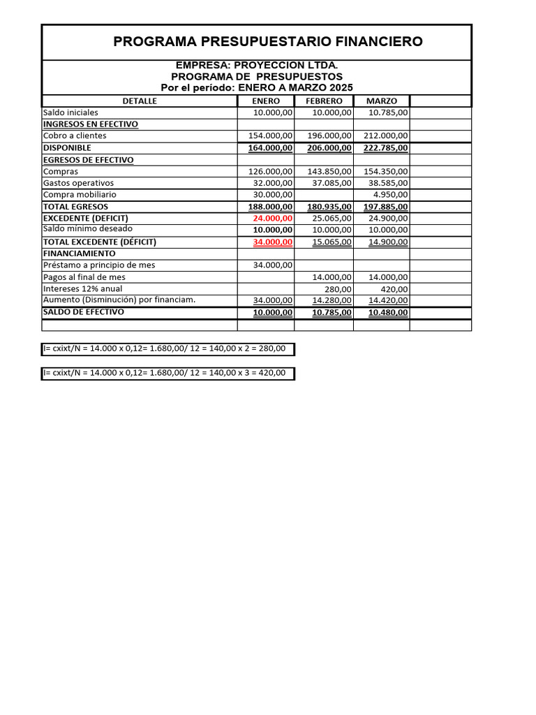 SOLUCIÓN PROGRAMA PRESUPUESTO FINANCIERO SEM 2-2024 25-11-2024 | PDF