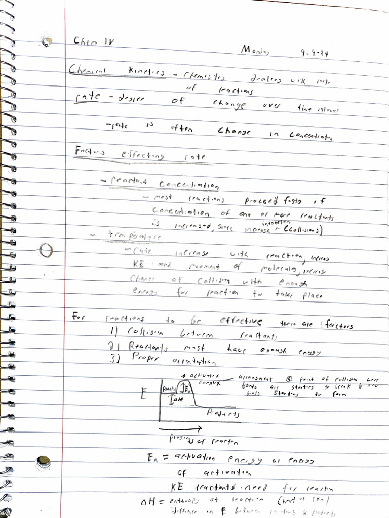 Document Analysis Placeholder | PDF