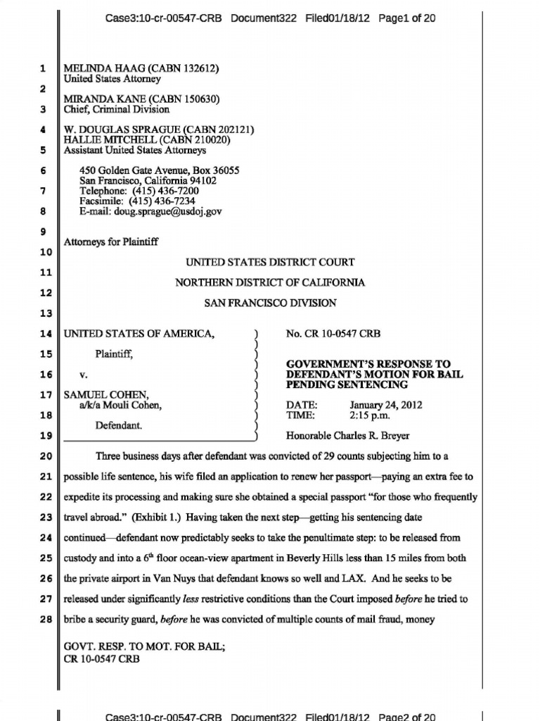 Bail Motion Response for Mouli Cohen | PDF | Burden Of Proof (Law) | Bail